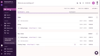 Interactive-Demo-Of-Toggl-Track | Flo